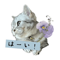 kana_20240117234357 – LINE stickers | LINE STORE