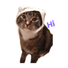 Flo Chan NY – LINE stickers | LINE STORE