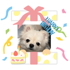 Sugar pom sticker – สติกเกอร์ LINE | LINE STORE