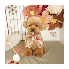 fukuo_20240123175049 – สติกเกอร์ LINE | LINE STORE