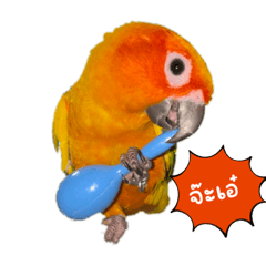 Friendster_20240126210158 – LINE stickers | LINE STORE