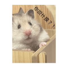 YouJin_20240128075813 – LINE stickers | LINE STORE