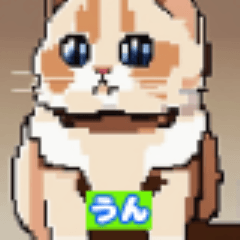 Kitty Cove - Stiker LINE | LINE STORE