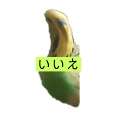 Sopisopi_20240130191820 – LINE stickers | LINE STORE