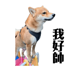 Ivy Chu_20240201150651 - LINE スタンプ | LINE STORE