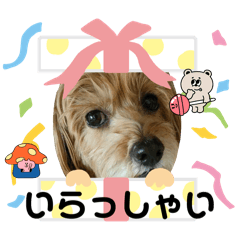 Fairy kumiko_20240202141722 – LINE stickers | LINE STORE