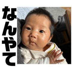 Chou_20240203165655 – LINE stickers | LINE STORE