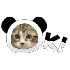 muchan_20240203165346 – LINE stickers | LINE STORE