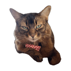 myoki_20240205185527 – LINE stickers | LINE STORE