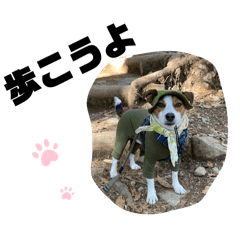 sakami_20240206222215 - Stiker LINE | LINE STORE