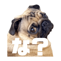 NISHINIHON_20240208060023 – LINE stickers | LINE STORE