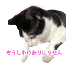 chumu_20240208194620 – LINE stickers | LINE STORE