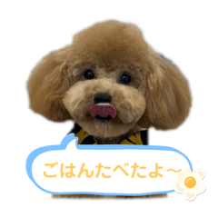 MOF_20240208152114 - Stiker LINE | LINE STORE