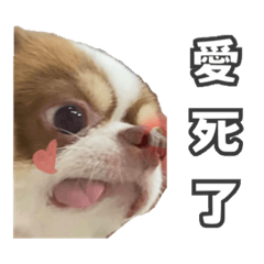 An adorable DOGGYYY sdicker – LINE貼圖 | LINE STORE