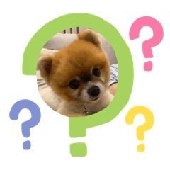 Moo Yong :) – LINE stickers | LINE STORE