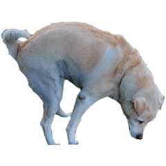 bitzer_20240212130440 - LINE スタンプ | LINE STORE