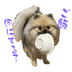 くるこた - LINE スタンプ | LINE STORE