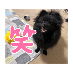 RAPI_20240213214413 – LINE stickers | LINE STORE