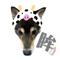 Vicky_20240214214822 – LINE stickers | LINE STORE