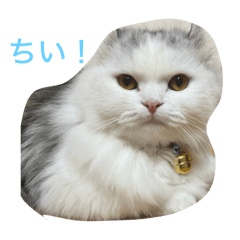 ryo._20240214201546 – LINE stickers | LINE STORE