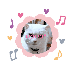 happy happy cat!! – LINE stickers | LINE STORE