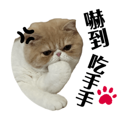 Mimi Cute Talk – LINE stickers | LINE STORE