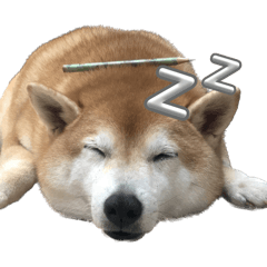 Derek_20240219220241 – LINE stickers | LINE STORE