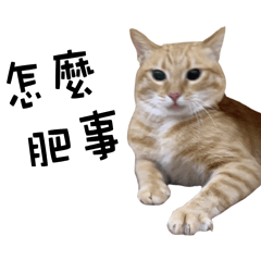 THE TOC_20240219113502 - LINE スタンプ | LINE STORE