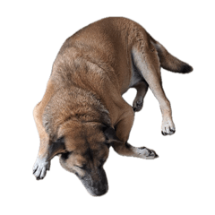 SUT friends – LINE stickers | LINE STORE