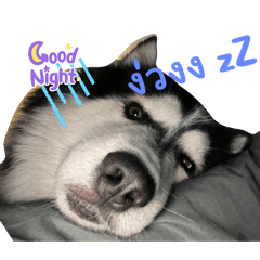 Kaitoon_20240222214542 – LINE stickers | LINE STORE