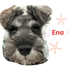 Ena♡stamp#01 - LINE スタンプ | LINE STORE