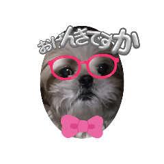 sato.13_20240223144946 - Stiker LINE | LINE STORE