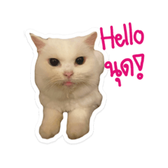 Angry Yuki - LINE スタンプ | LINE STORE