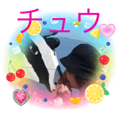 okei_20240224152532 – LINE stickers | LINE STORE