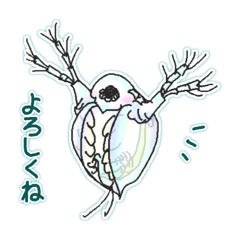 Sticker for mijinko lover – LINE貼圖 | LINE STORE