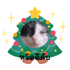 Nxxk_20240302162831 – LINE stickers | LINE STORE