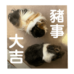 Bbt and Oreo so useful - LINE スタンプ | LINE STORE