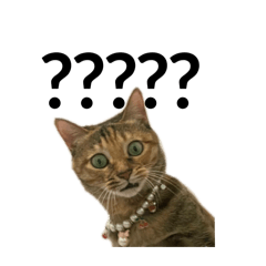 Daisy&Fay_20240307181659 – สติกเกอร์ LINE | LINE STORE