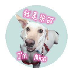 Mico's happy life. - LINE スタンプ | LINE STORE