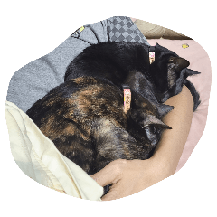 Kevina_20240311174412 – LINE stickers | LINE STORE