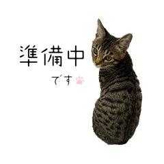 ふじもと むぎ ② - LINE スタンプ | LINE STORE