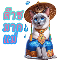 Cats Songkran festival 2024 – LINE stickers | LINE STORE