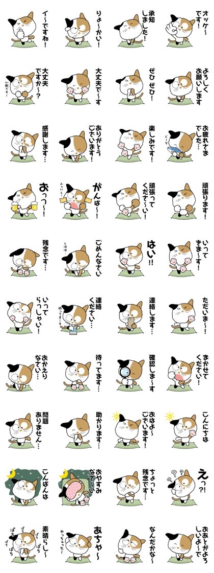 【スタンプ無料GET!】 三毛猫「わび助」5=毎日使えるスタンプ｜ Stampick! （スタンピック）