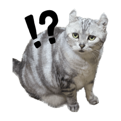 Tim Lu_20240318153540 - LINE スタンプ | LINE STORE