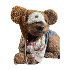 COCO_20240320234756 - Stiker LINE | LINE STORE