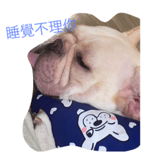Henry+_20240320225839 – LINE stickers | LINE STORE