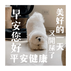 Kjuu_20240324020824 - LINE スタンプ | LINE STORE