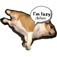 Chintu sample_20240401212156 – LINE stickers | LINE STORE