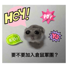 Sad Hamster – LINE stickers | LINE STORE
