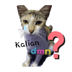 Cookies! - LINE スタンプ | LINE STORE